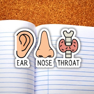 Ear Nose Throat Sticker Set, ENT Medical Gift, Otolaryngologist Sticker ...