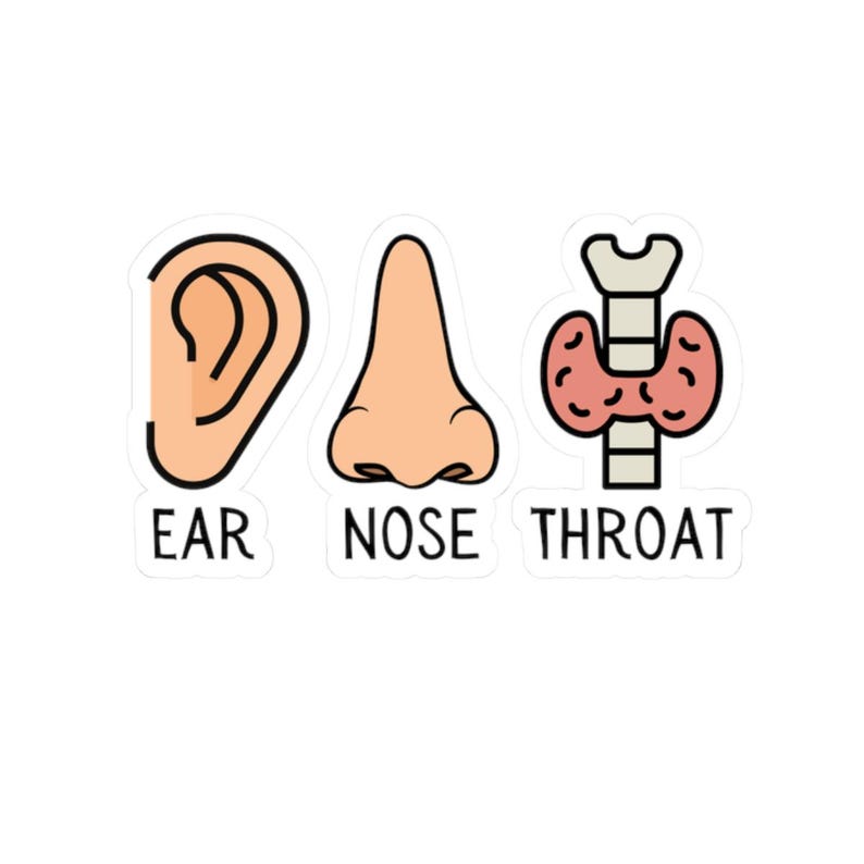 Ear Nose Throat Sticker Set, ENT Medical Gift, Otolaryngologist Sticker ...