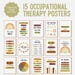 Occupational Therapy Posters, Set of 15, Occupational Therapy Bundle ...