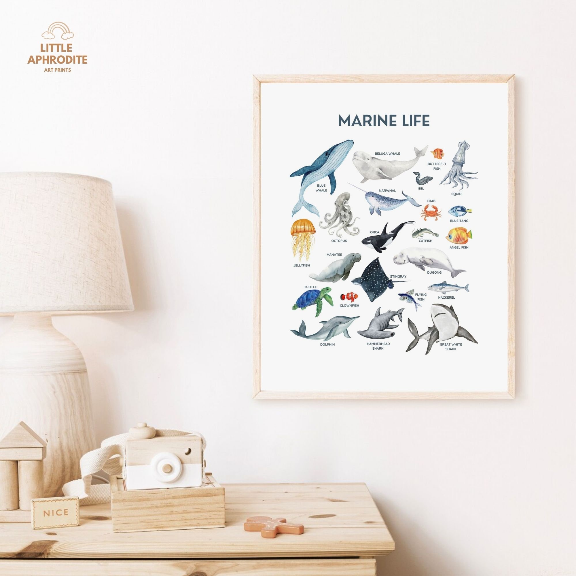 Marine Life Educational Poster for Underwater Nursery Beach - Etsy