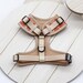 JACOB Dog Harness - Etsy
