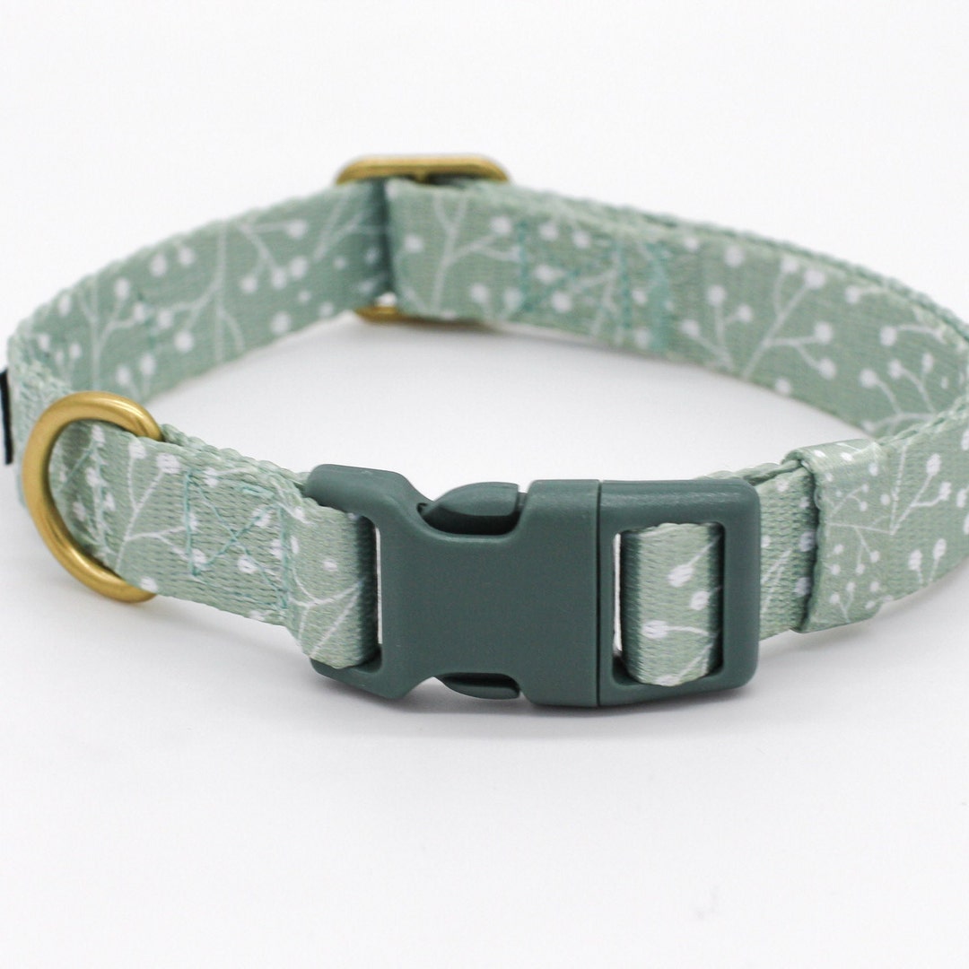 Juniper Dog Collar | Plant Inspired Boho Style | JUNIPER - Etsy