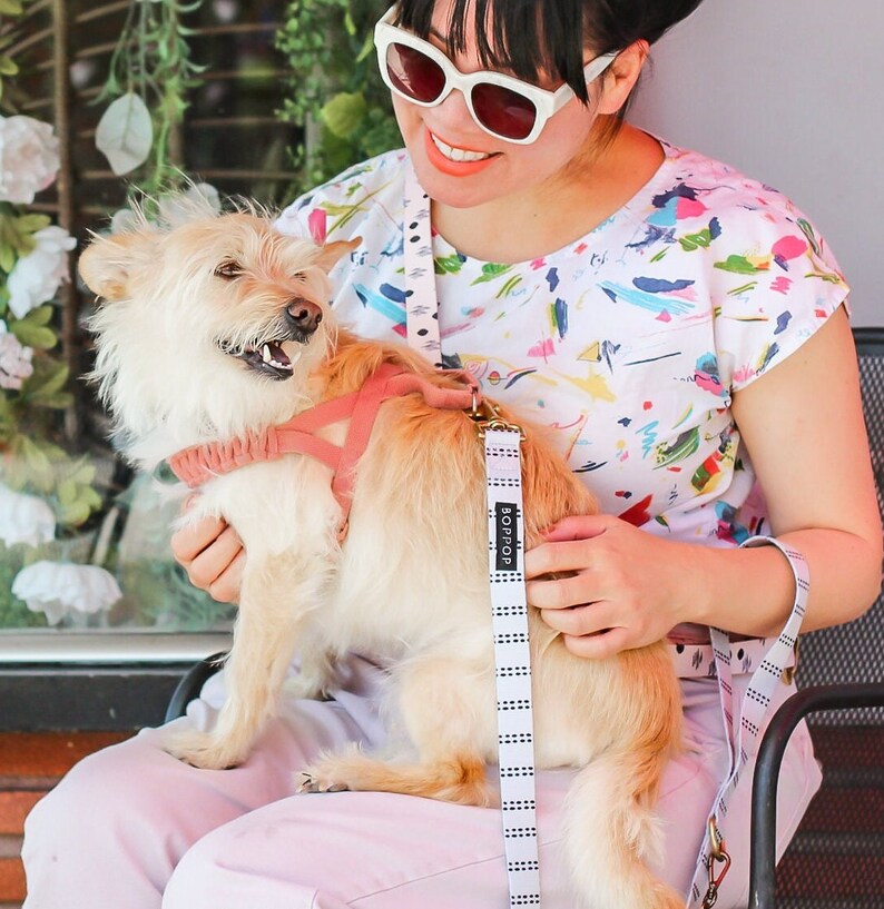 London Dog Leash - Etsy