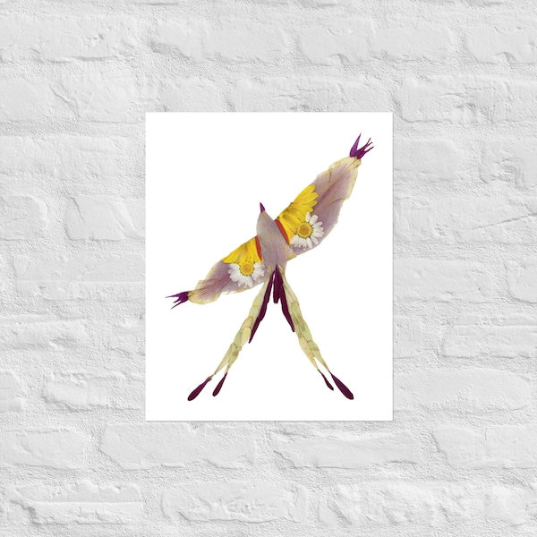 Scissortail Art - Etsy