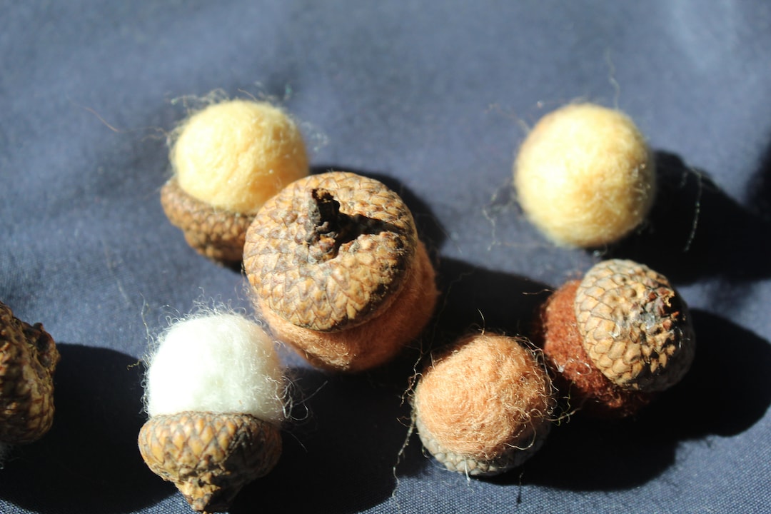 Needle Felted Acorns With Real Acorn Hats. Ornaments - Etsy