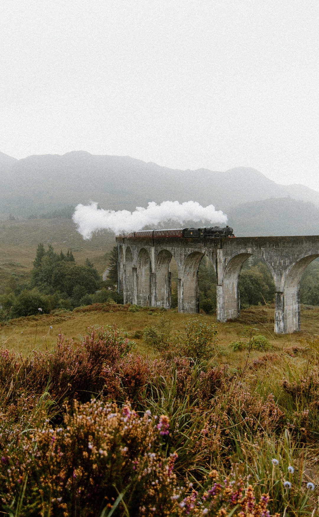 Magical Train Print - Photo Wall Art - Digital Download - Etsy