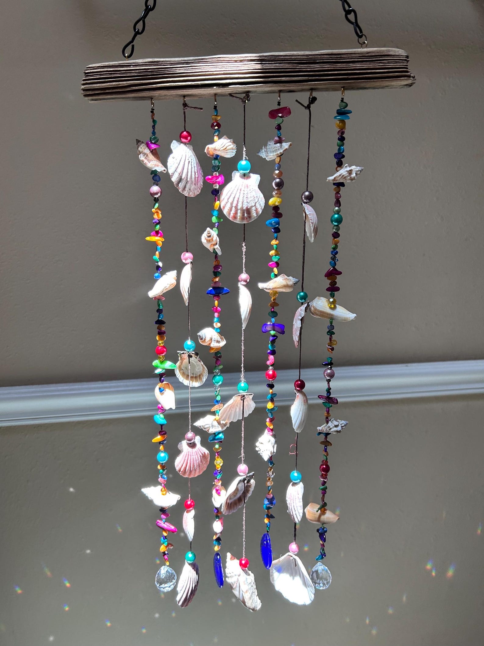 Driftwood & Shells Sun Catcher, Evil Eye, Natural Shells, Handcrafted ...