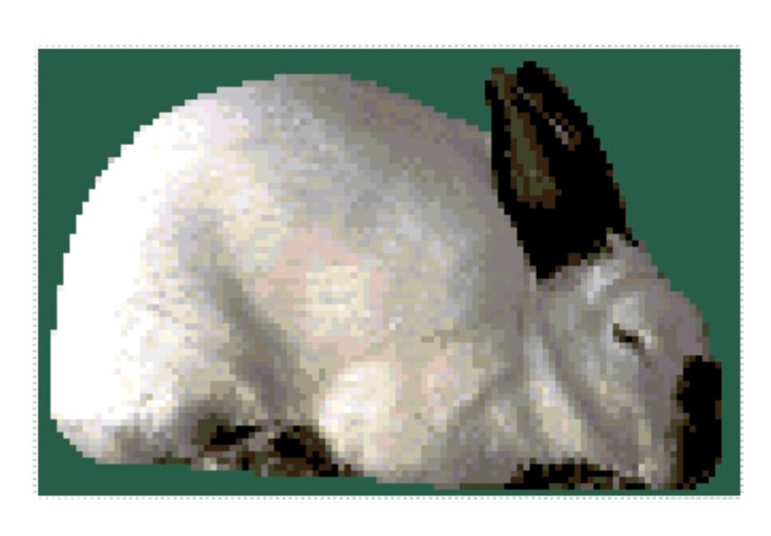 Californian Rabbit Cross Stitch Graph - Etsy