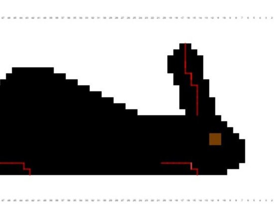 Flemish Giant Rabbit Graph - Etsy