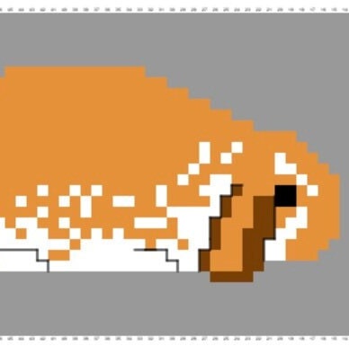 French Lop Rabbit Graph - Etsy