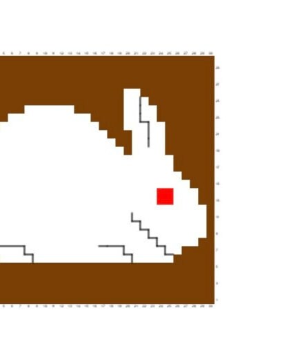 Florida White Rabbit Graph - Etsy