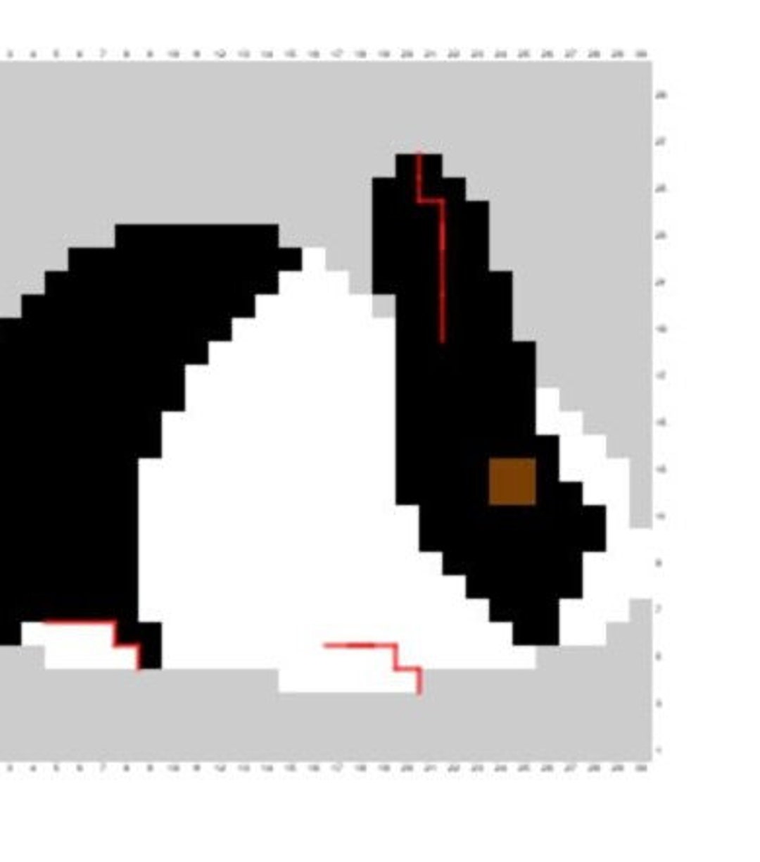 Dutch Rabbit Graph - Etsy