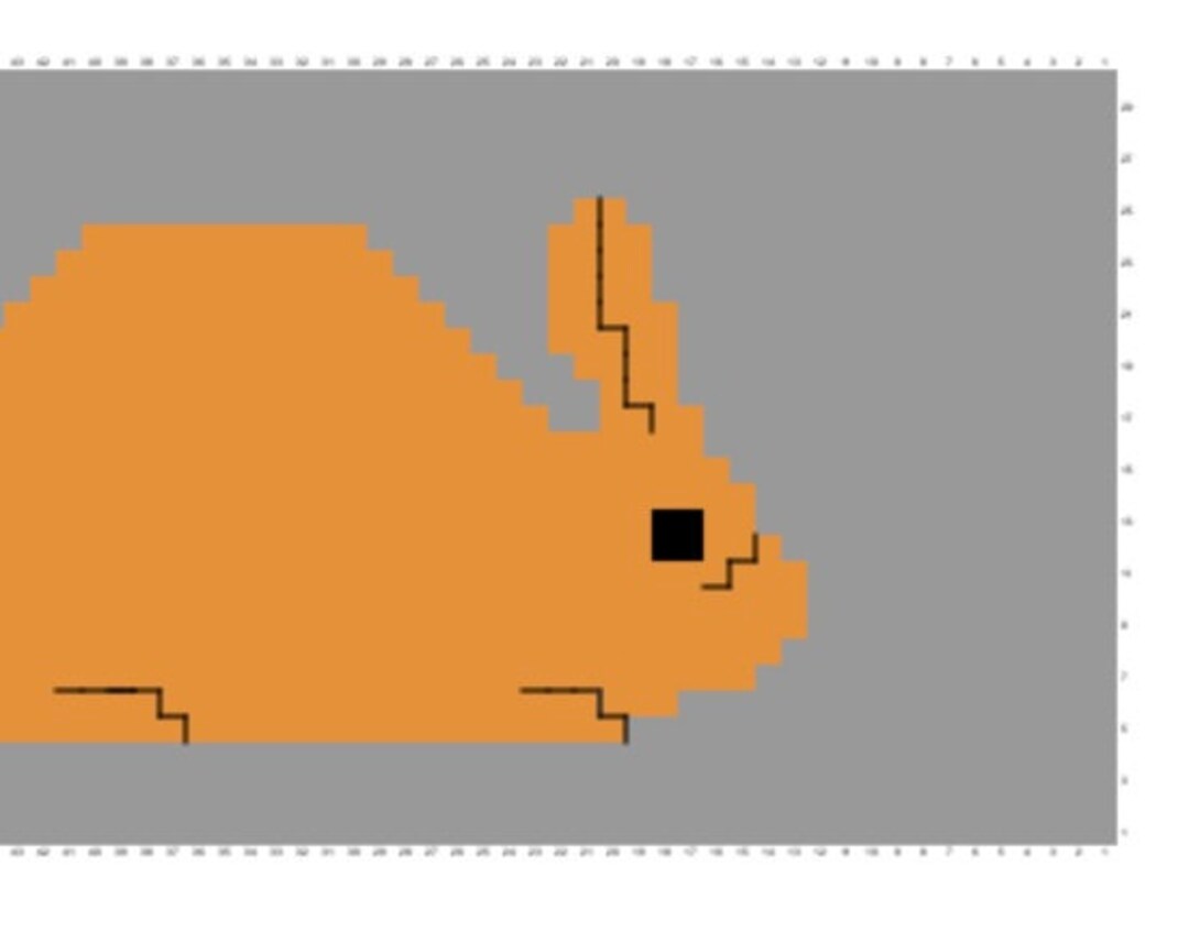 New Zealand Rabbit Graph - Etsy