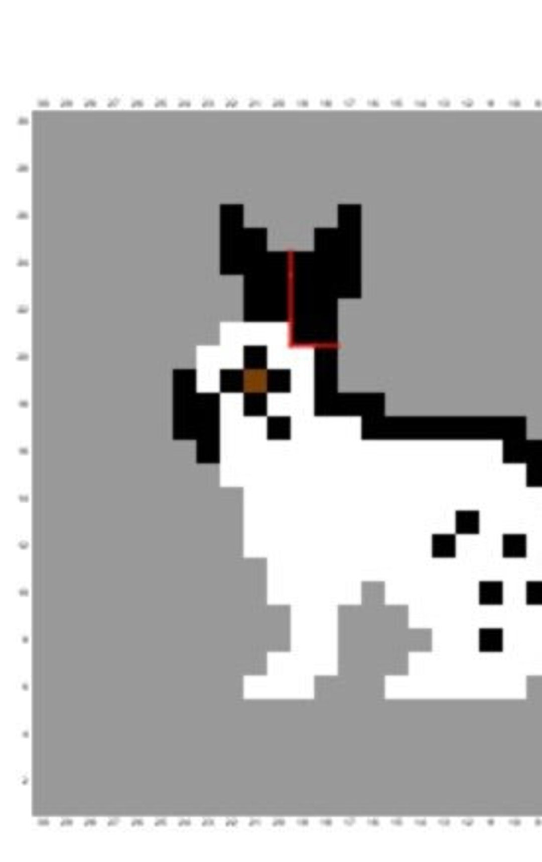 Dwarf Papillon Rabbit Graph - Etsy