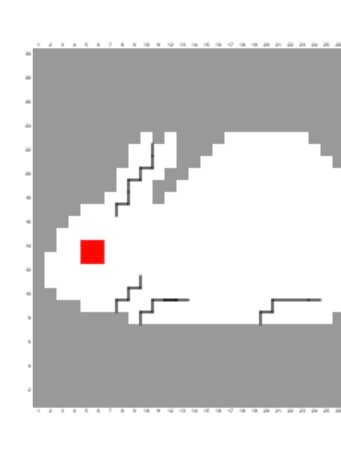 Mini Rex Rabbit Graph - Etsy