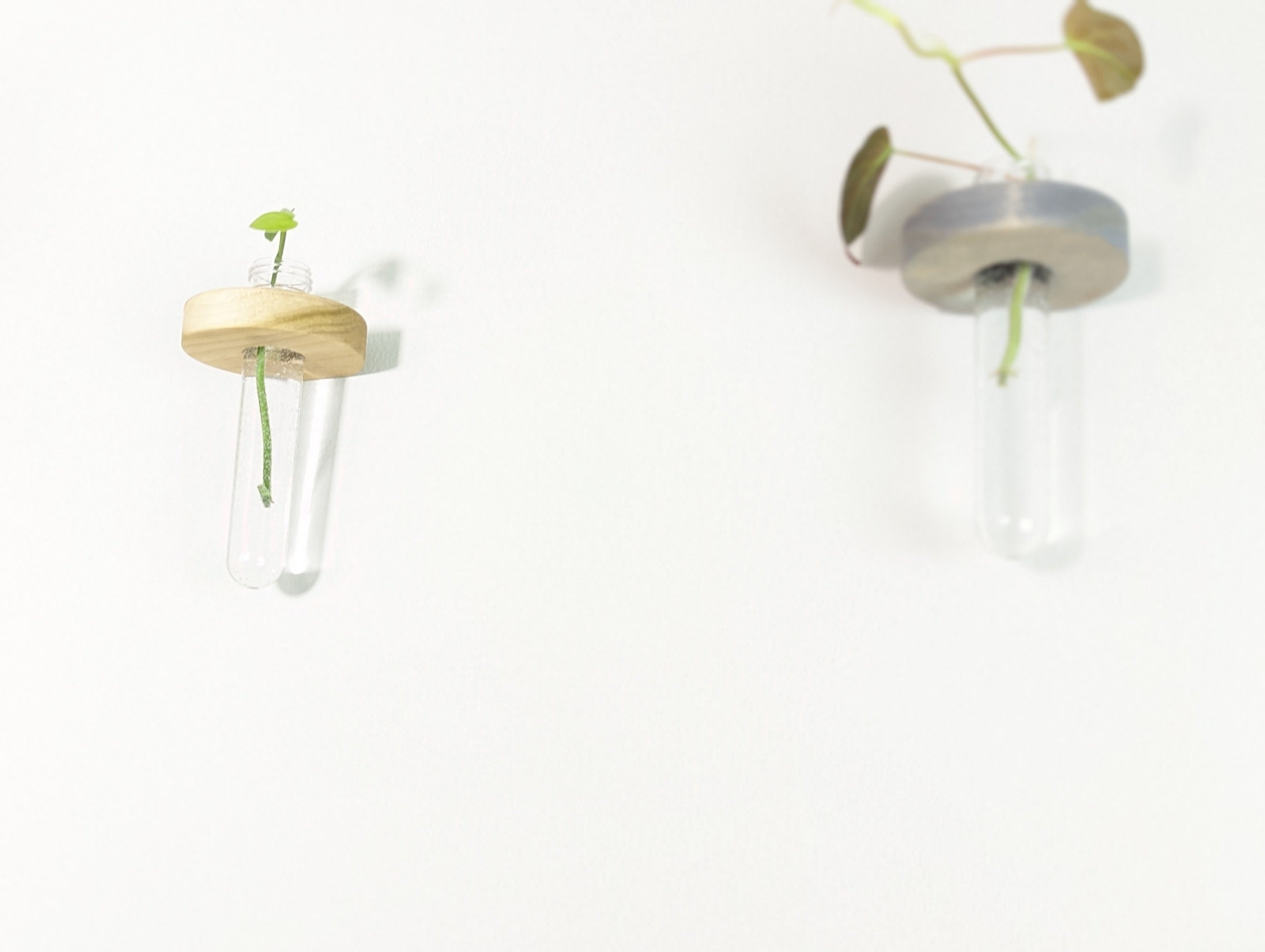 Mini Plant Wall Shelf Propagation Station Plant Nursery - Etsy