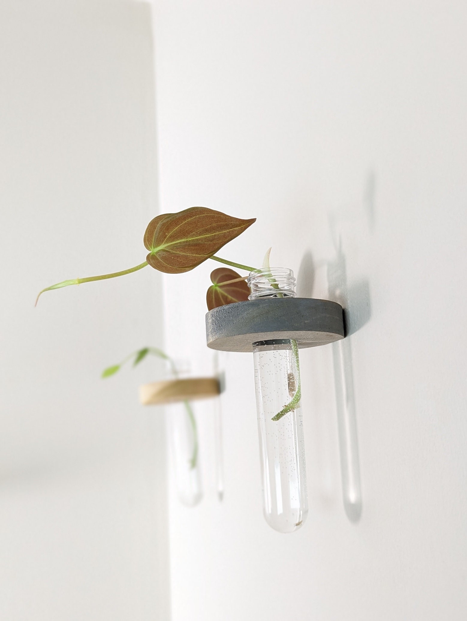 Mini Plant Wall Shelf Propagation Station Plant Nursery - Etsy