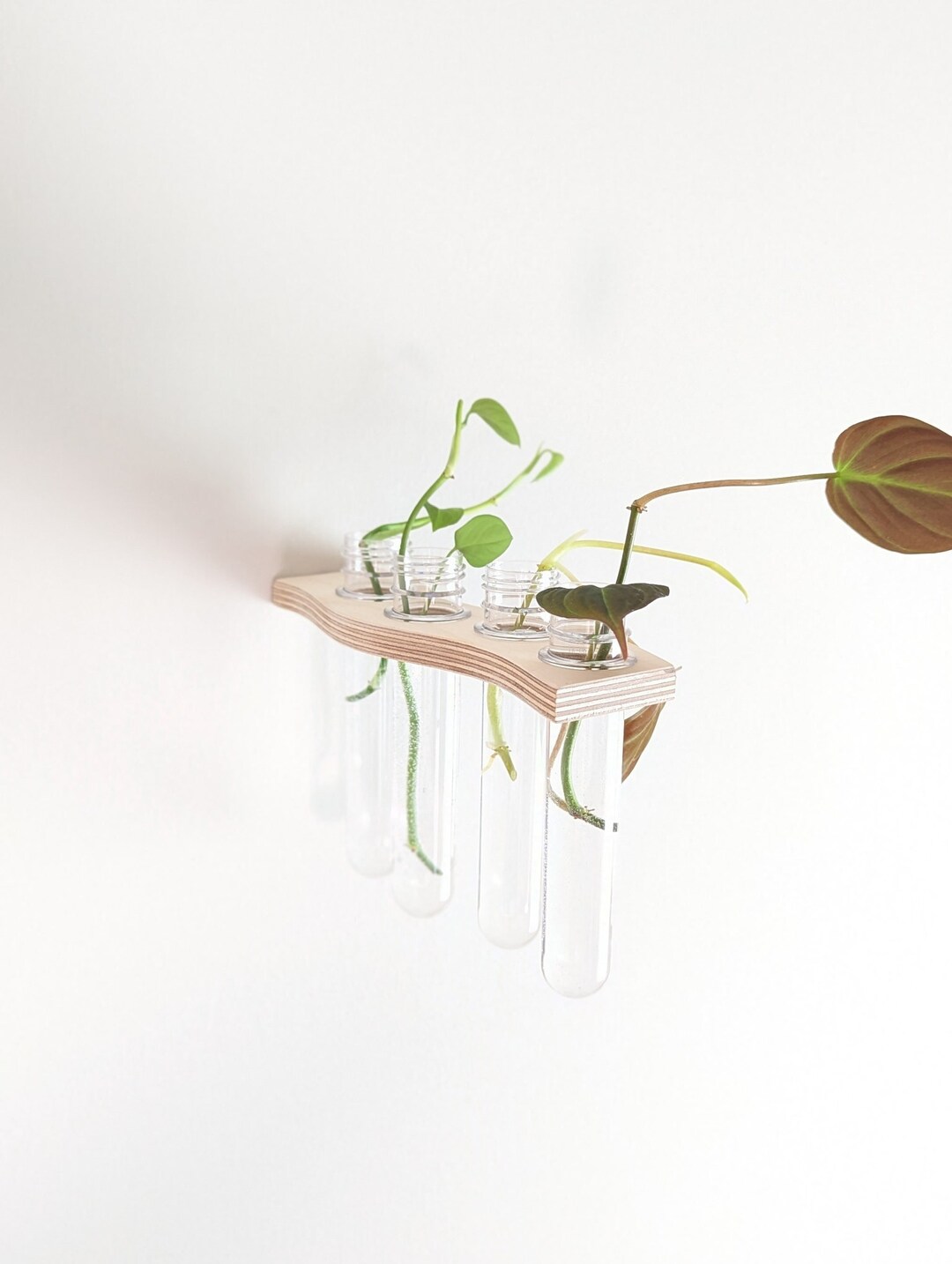 Handmade Wavy Wood Propagation Station: Modern Plant Wall Shelf - Etsy
