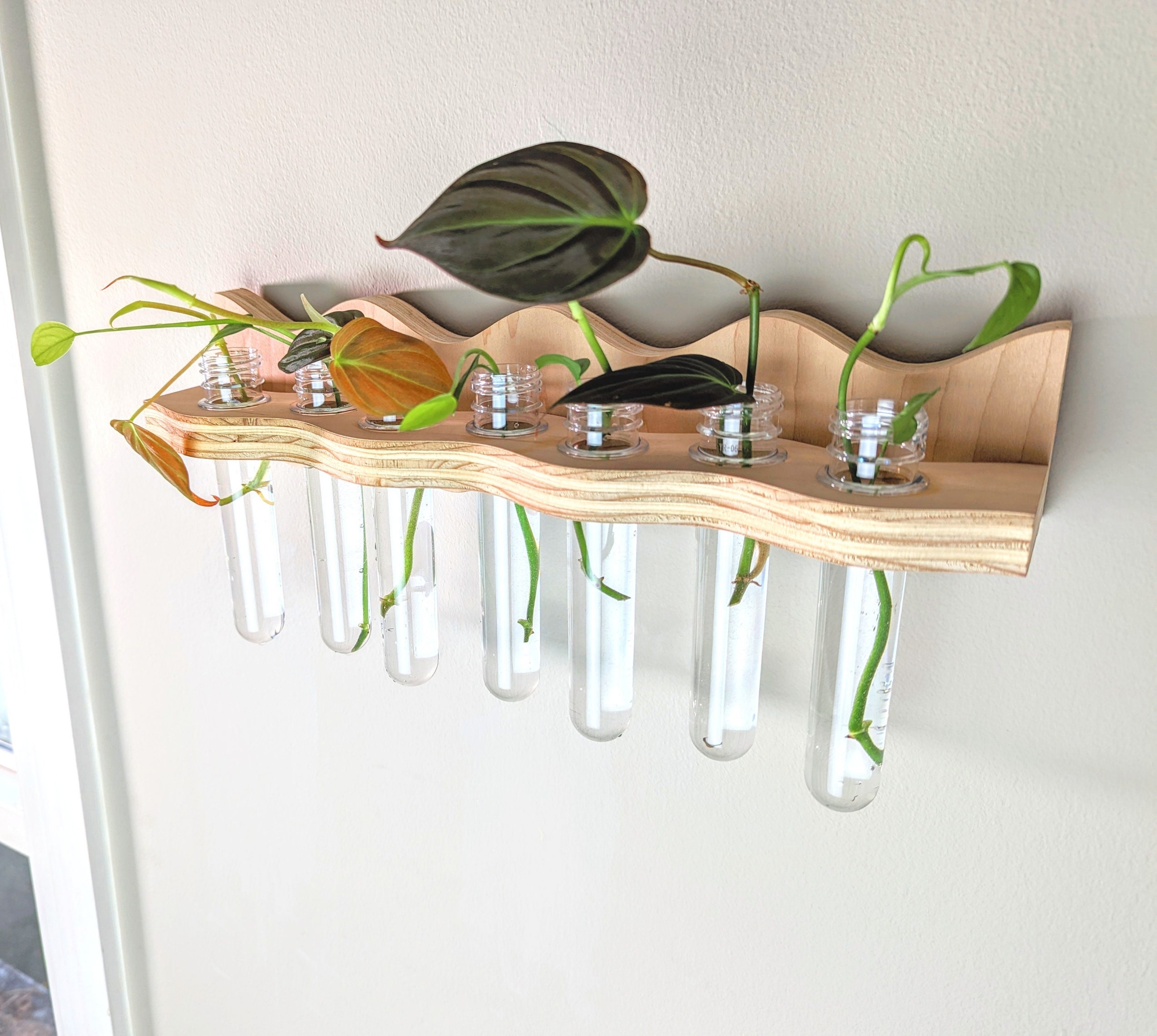 Plant Wall Shelf Propagation Station Plant Nursery - Etsy