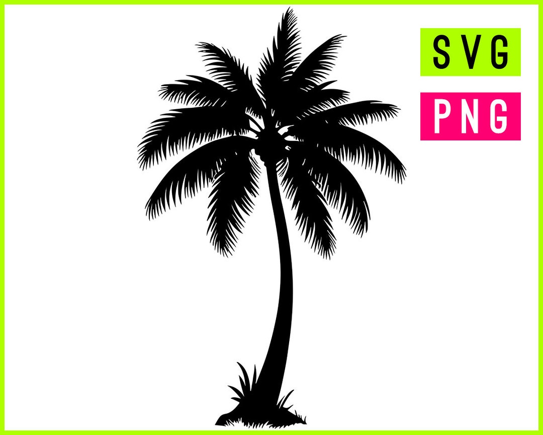 Palm Tree SVG + PNG | Artpush - Etsy