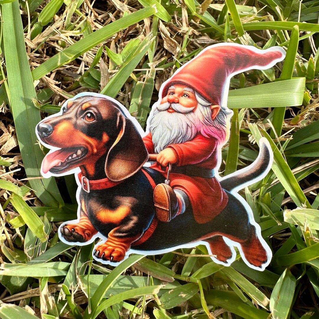 Gnome Riding a Weenie Sticker - Etsy