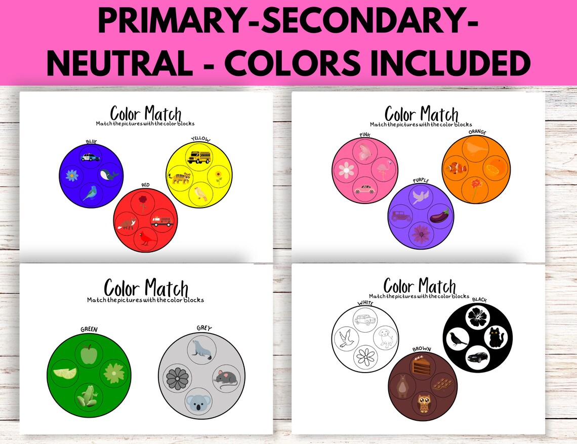 Printable Color Sorting Activity, Toddler Activity, Toddler Busy Binder ...