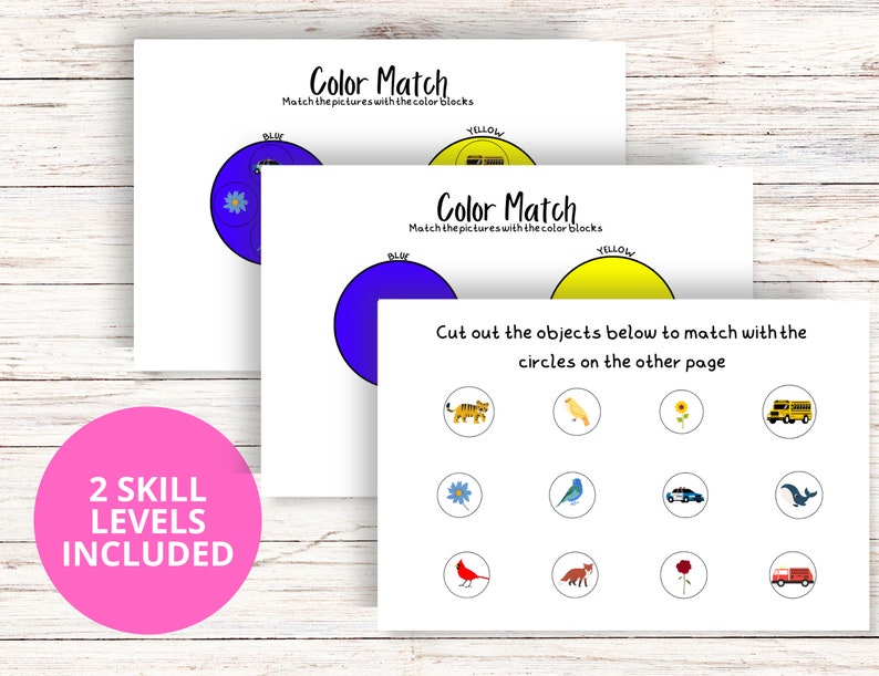 Printable Color Sorting Activity, Toddler Activity, Toddler Busy Binder ...