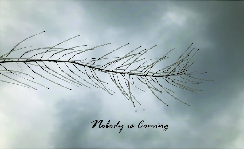 Nobody is Coming by Mel Robbins - Etsy