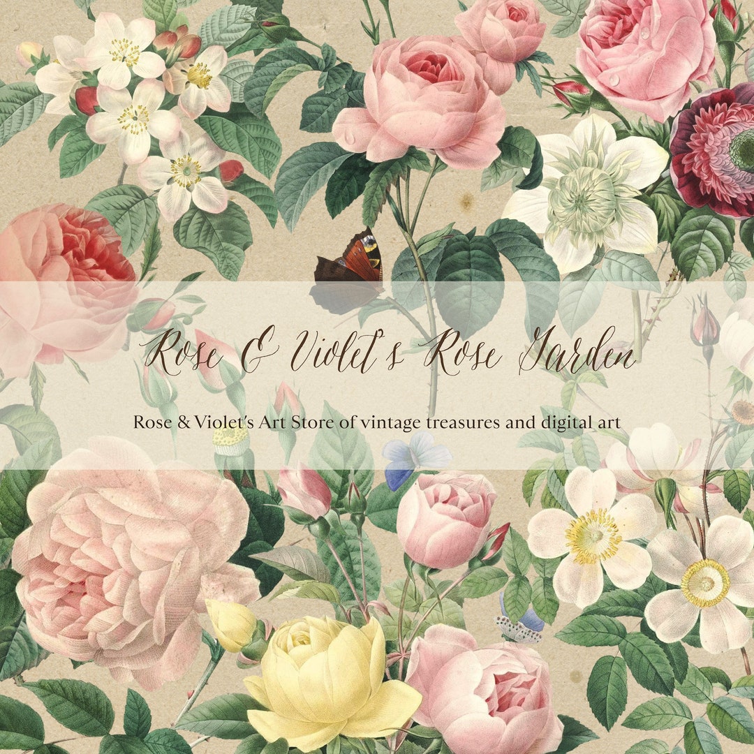 Vintage Rose Garden Vintage Roses Clip Art Vintage Roses - Etsy