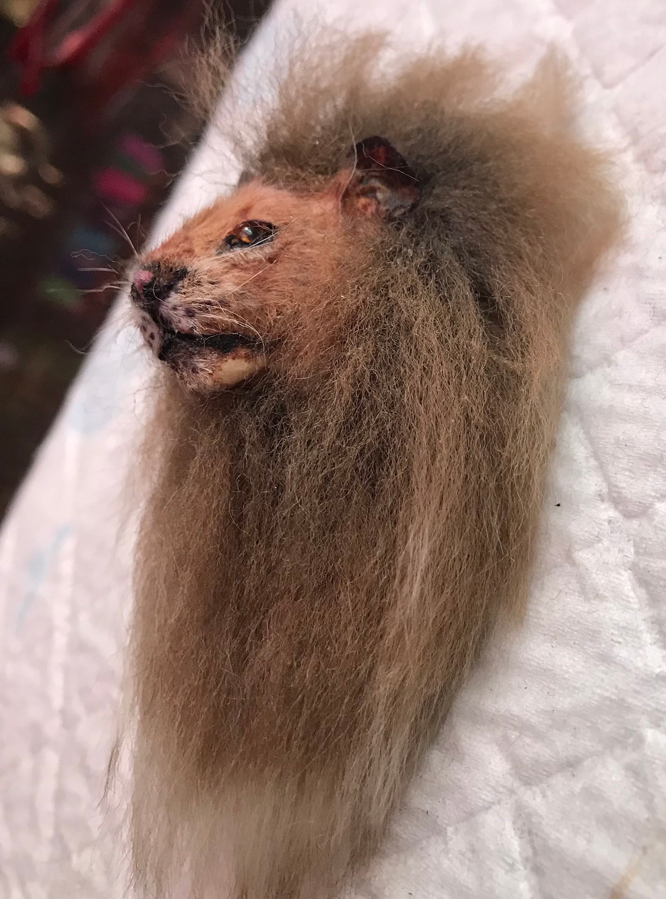 Miniature Taxidermy Lion Head - Etsy