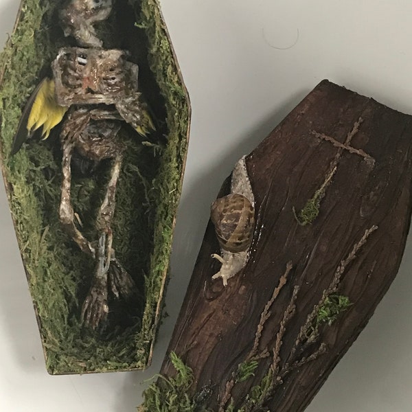 Mummified Fairy - Etsy