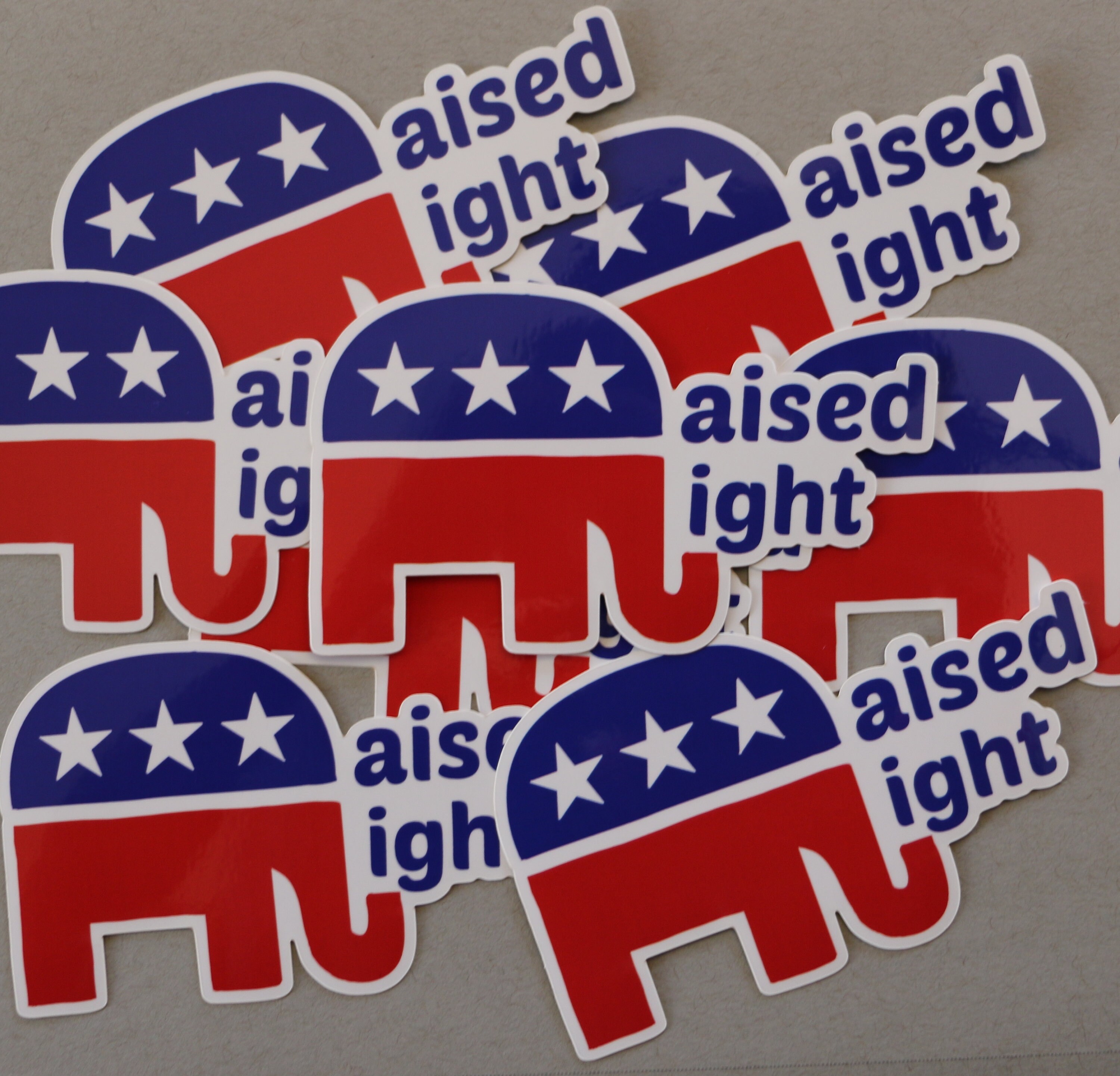 Republican Raised Right Sticker | Water Bottle Sticker | Laptop Sticker ...