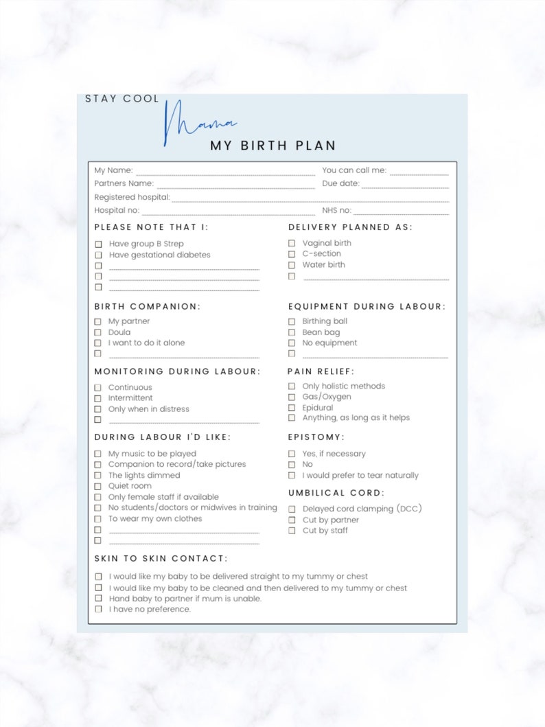 UK NHS Birth Plan & Hospital Bag Checklist BLUE - Etsy