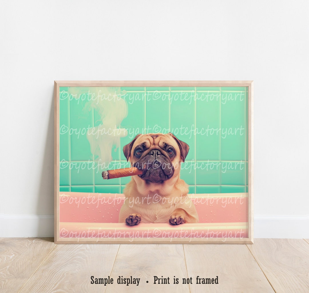 Funny Dog Smoking Cigar Bathroom Photography, Cute Pug in Bathtub ...