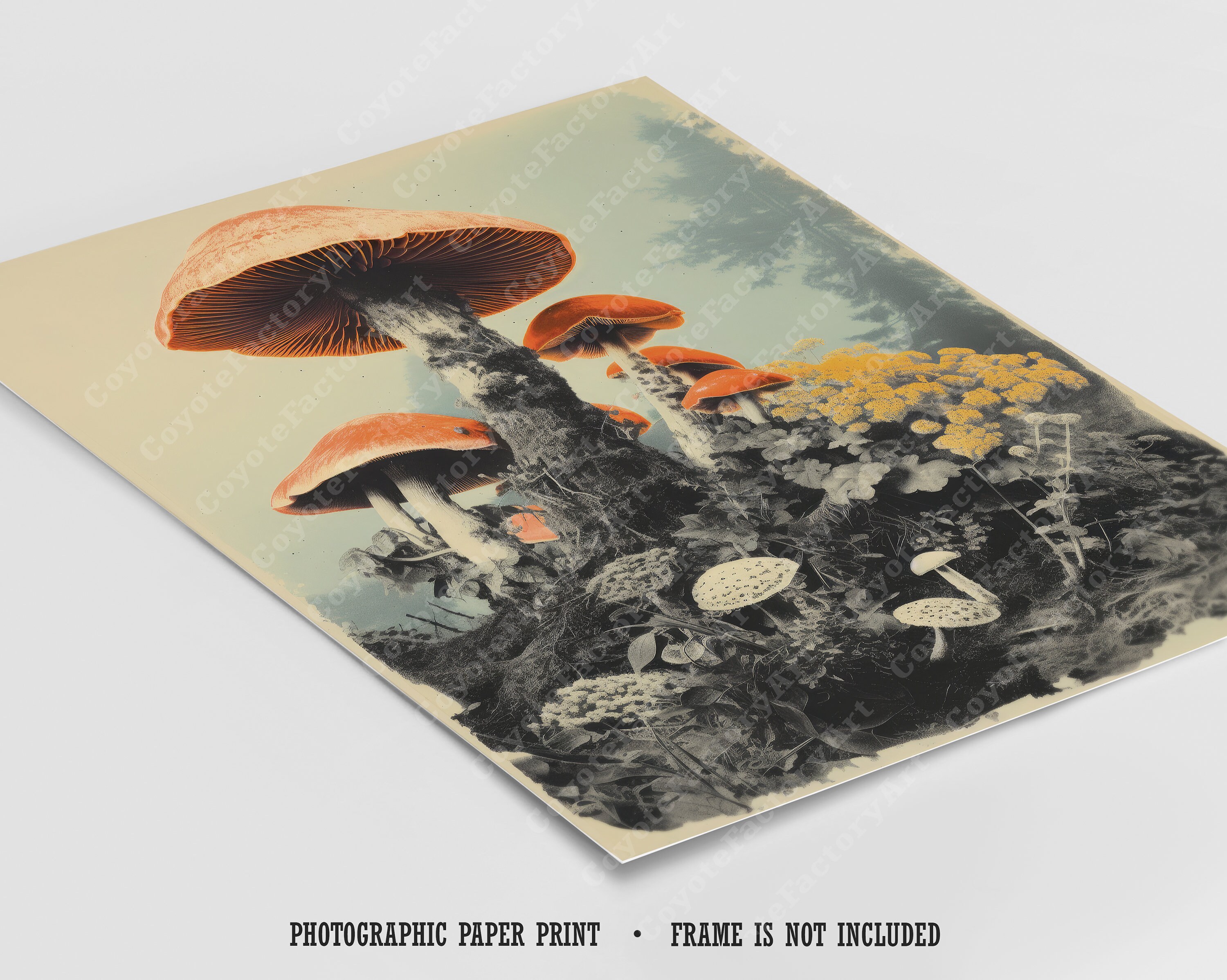Forest Mushroom Print, Retro Farmhouse Style, Cottagecore Wall Art - Etsy