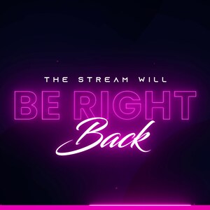 Stream Overlays Animated Neon Pink Twitch Pack, Clean Minimalistic ...