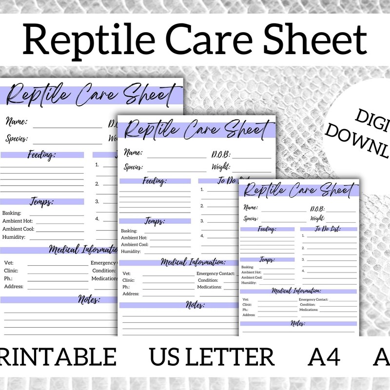 Reptile Care Sheet - Etsy