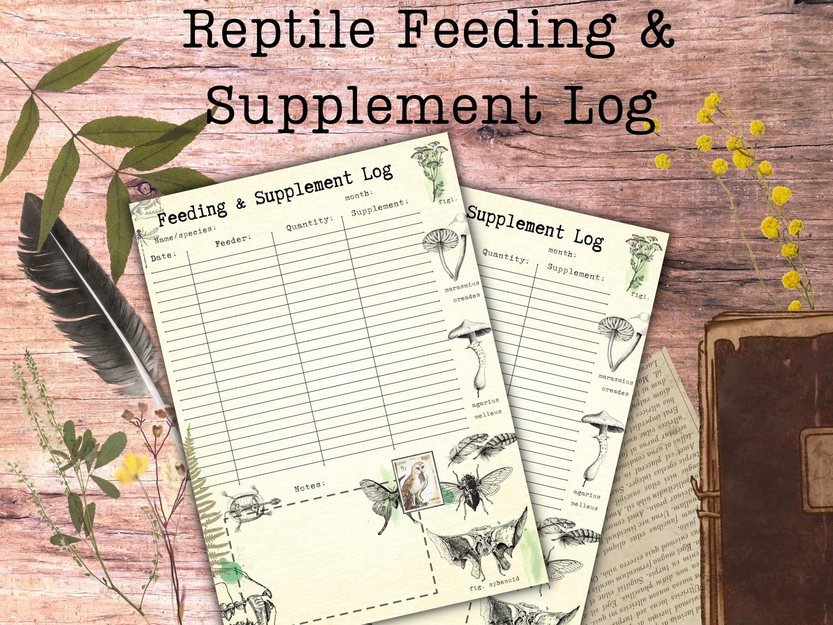Reptile Feeding Tracker, Printable Pet Food Planner, Feeding Schedule ...