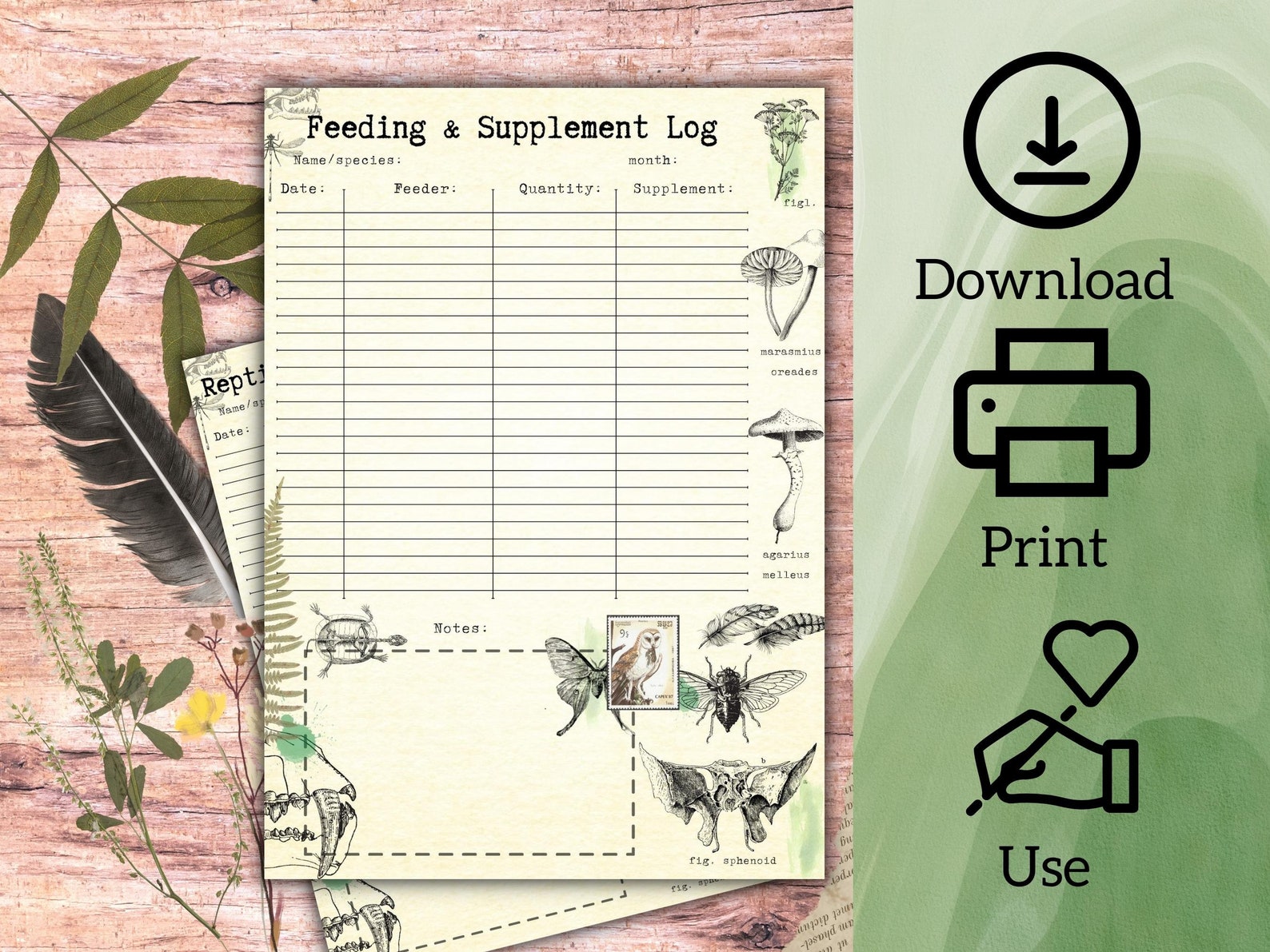 Reptile Feeding Tracker, Printable Pet Food Planner, Feeding Schedule ...