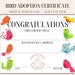 Bird Adoption Certificate, Digital Pet Bird Certificate, Childrens ...