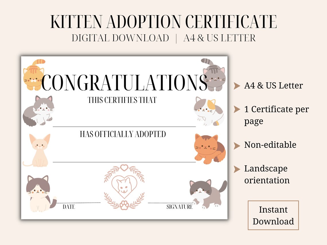 Kitten Adoption Certificate, Digital Cat Adoption Certificate, Kitten ...