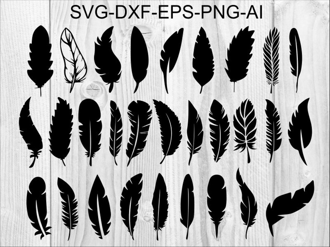 Feder svg Feder Bundle Feder Vögel svg dxf png Federn Silhouette Boho ...