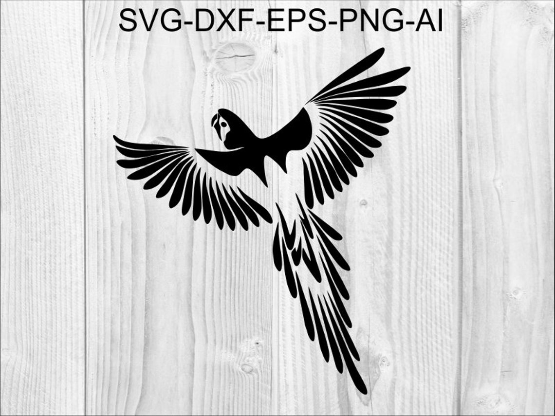 Parrot SVG 1 Parrot Cricut Parrot Clipart Parrot Cut Files - Etsy