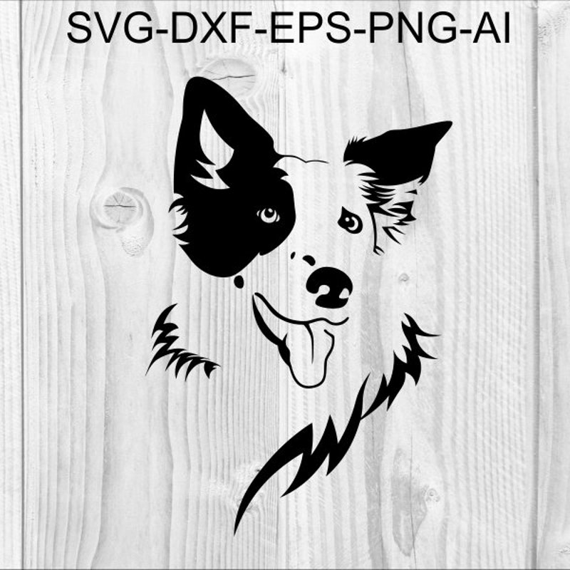 Border Collie Svg - Etsy