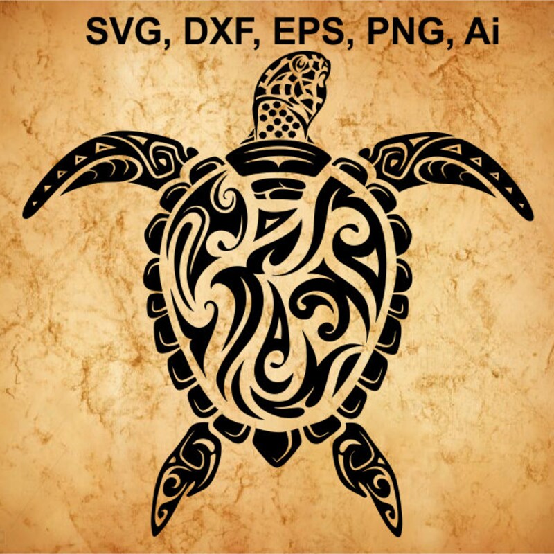 Turtle Svg - Etsy