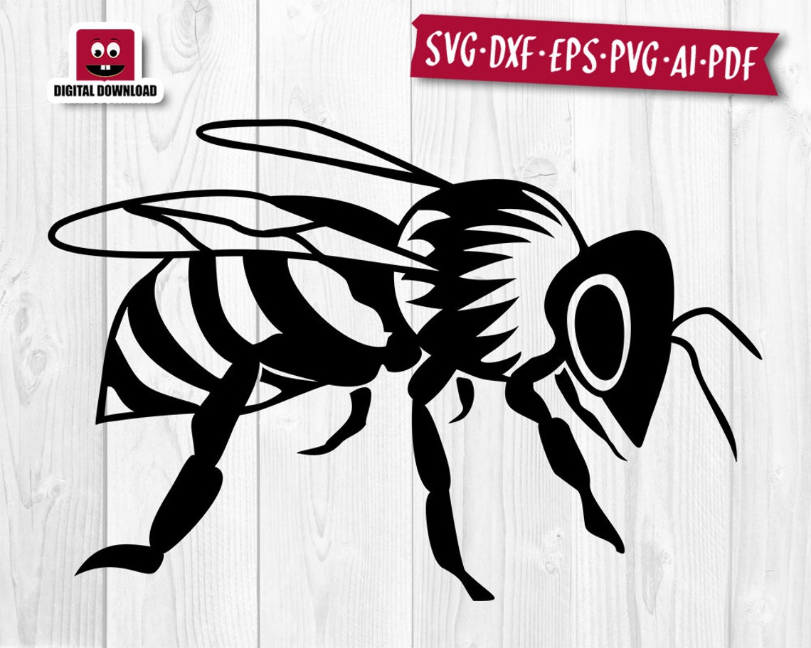 Bee SVG Wasp Svg Honeybee Svg Honey Bee SVG Bumble Bee Svg Png - Etsy