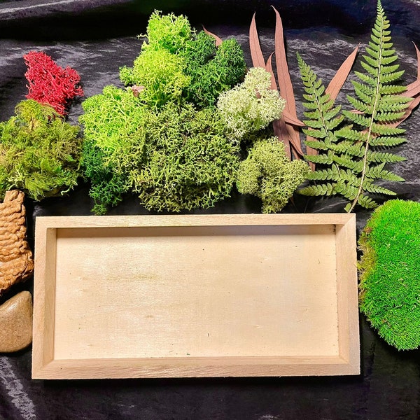 Preserved Moss - Etsy UK