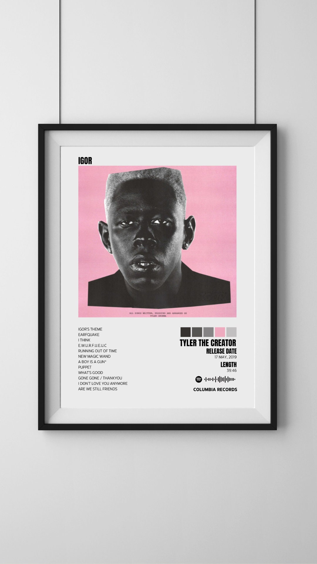 Tyler the Creator IGOR Album Poster Digital Album Poster - Etsy
