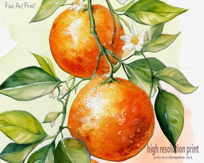 Orange Watercolor Painting, Freshen up Your Kitchen With These Fresh Oranges Art Print, Fruit ...