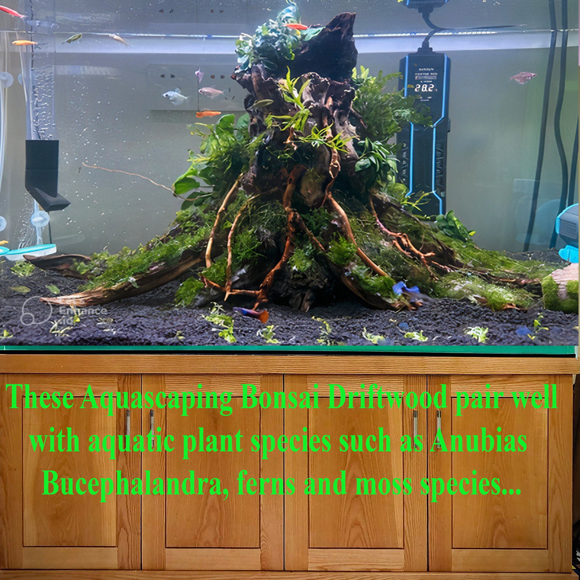 Aquarium Tree Stump Driftwood Bonsai Aquascaping Wood Fish Tank Plants ...